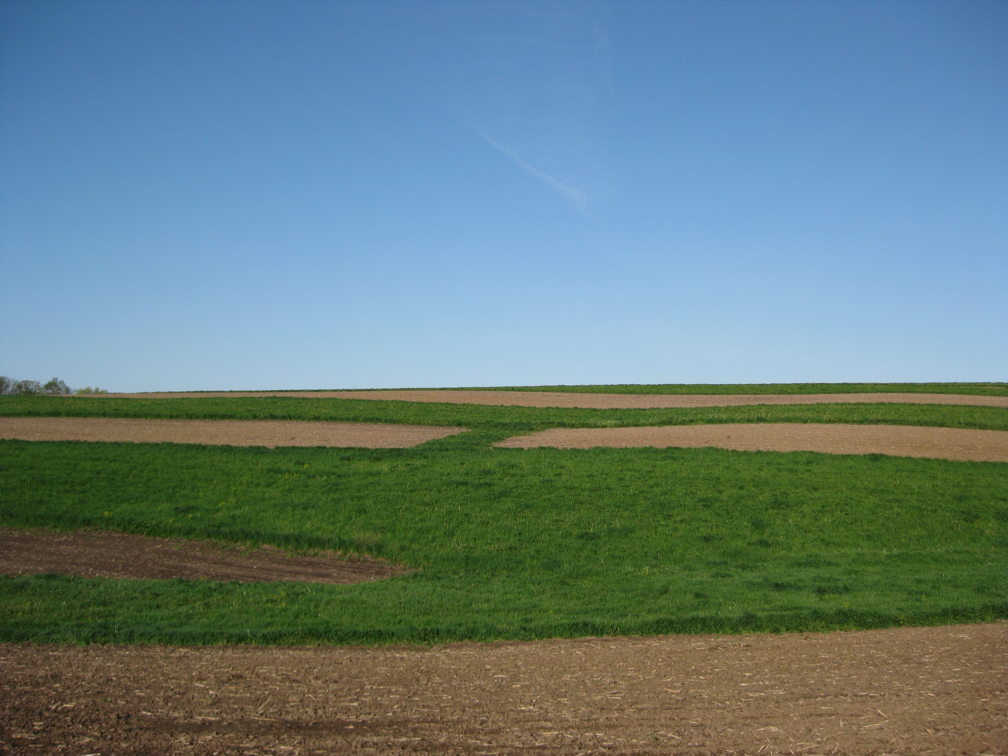 Contour Strip Cropping | Curiousfarmer